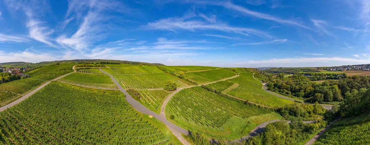 Pieroth Weingut – Pieroth Deutschland